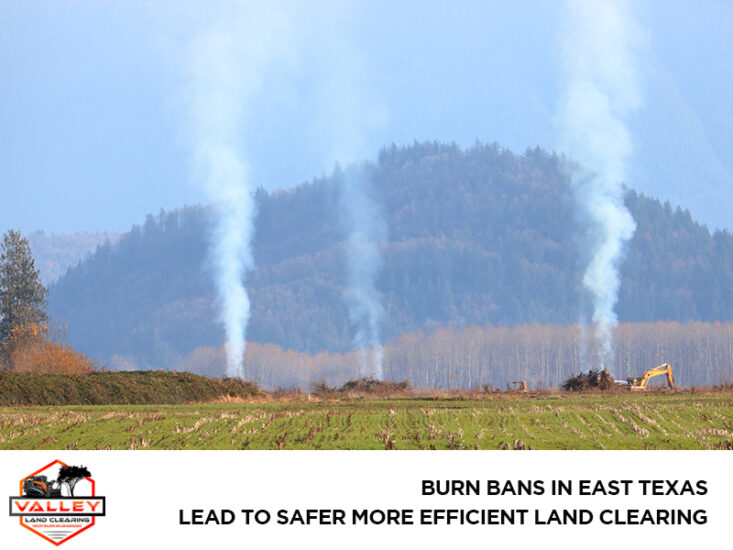 Land Clearing Lufkin Texas | Burning Bans East Texas - Valley Land ...