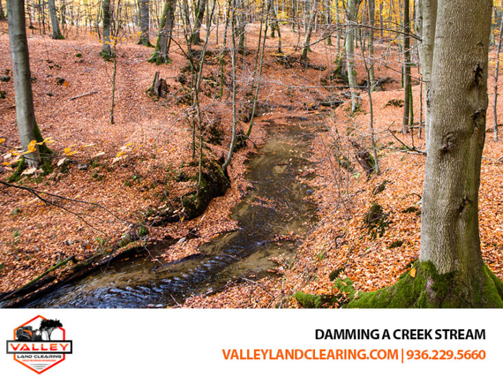 Damming a creek stream - Valley Land Clearing | Texas Land Clearing and ...